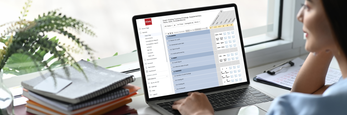 Audit Management Solution | ViClarity US